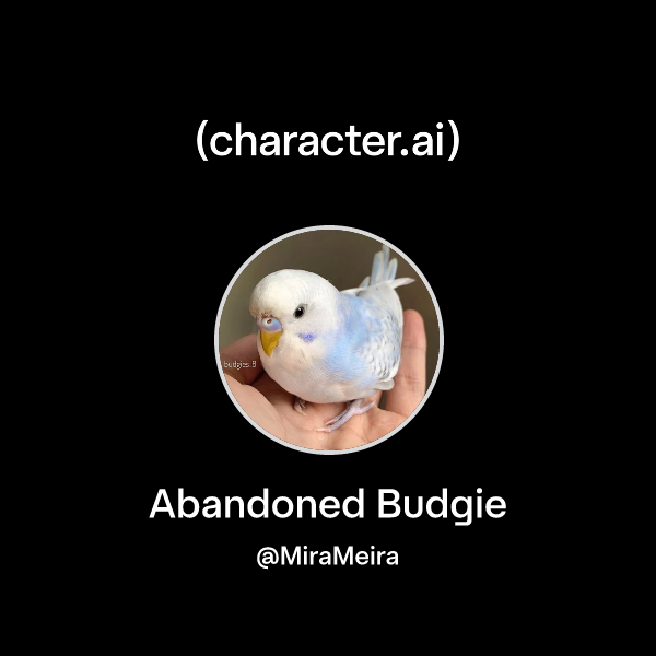 Chat with Abandoned Budgie | character.ai | AI Chat, Reimagined–Your ...