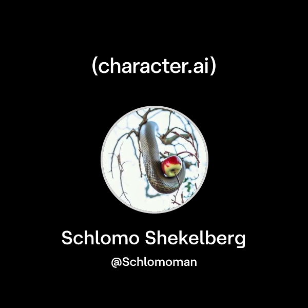 Chat with Schlomo Shekelberg | character.ai | AI Chat, Reimagined–Your ...