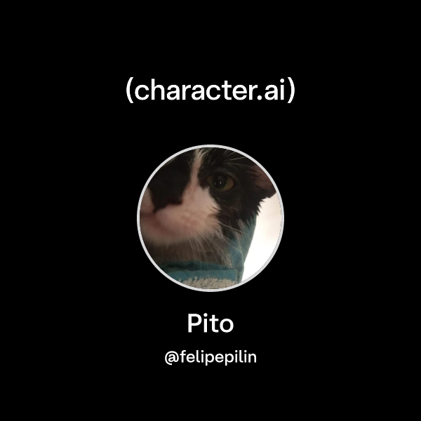 Chat with Pito | character.ai | Personalized AI for every moment of ...