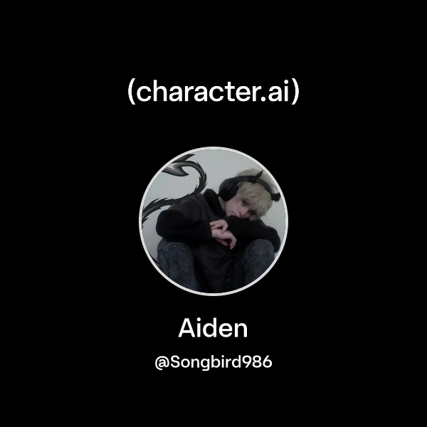 Chat with Aiden | character.ai | Personalized AI for every moment of ...