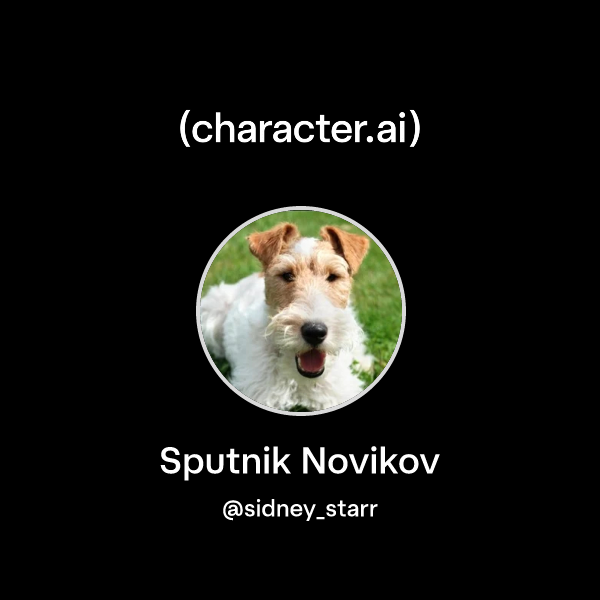 Chat with Sputnik Novikov | character.ai | Personalized AI for every ...