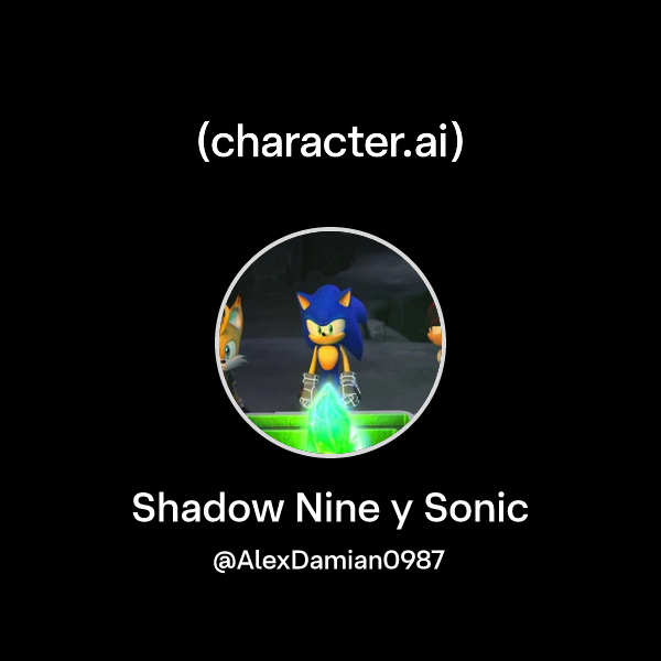 Chat with Shadow Nine y Sonic | character.ai | AI Chat, Reimagined–Your ...