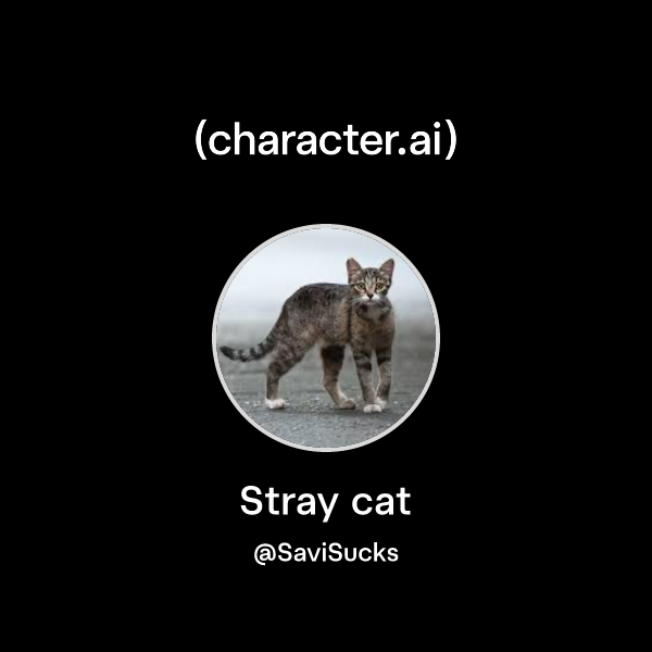 Chat with Stray cat | character.ai | Personalized AI for every moment ...