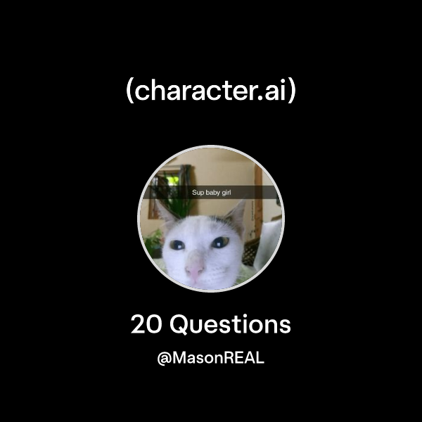 Chat with 20 Questions | character.ai | AI Chat, Reimagined–Your Words ...