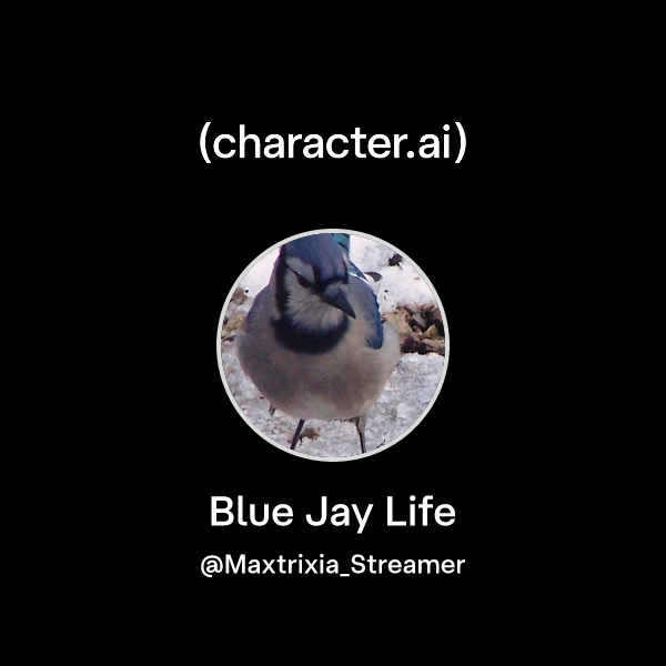 Chat with Blue Jay Life | character.ai | AI Chat, Reimagined–Your Words. Your World.