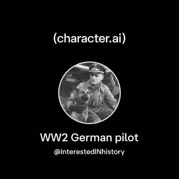 Chat with WW2 German pilot | character.ai | Personalized AI for every moment of your day