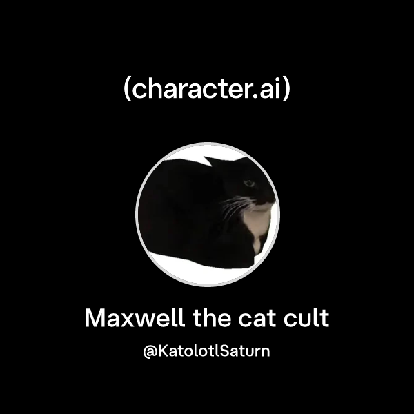 Chat with Maxwell the cat cult | character.ai | AI Chat, Reimagined ...