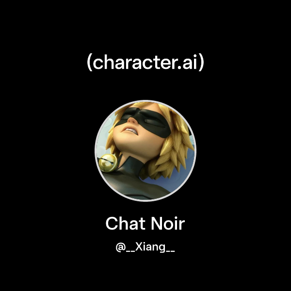 Chat with Chat Noir | character.ai | Personalized AI for every moment ...