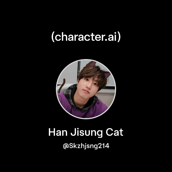 Chat with Han Jisung Cat | character.ai | AI Chat, Reimagined–Your ...