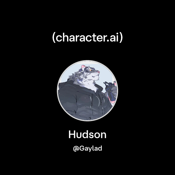 Chat with Hudson | character.ai | Personalized AI for every moment of ...