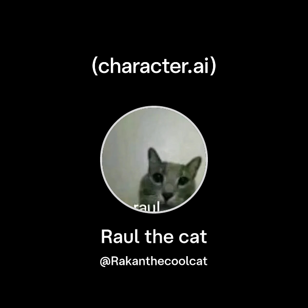 Chat with Raul the cat | character.ai | AI Chat, Reimagined–Your Words ...