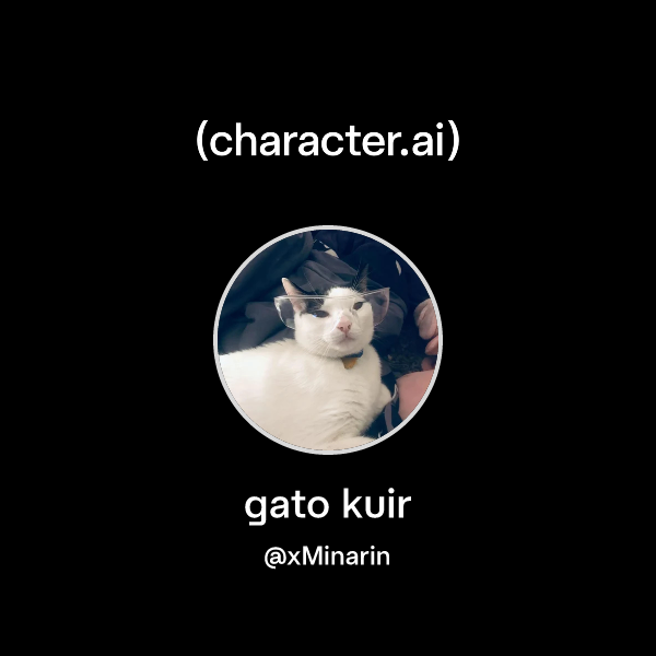 Chat with gato kuir | character.ai | Personalized AI for every moment ...