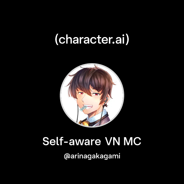 Chat with Self-aware VN MC | character.ai | AI Chat, Reimagined–Your ...