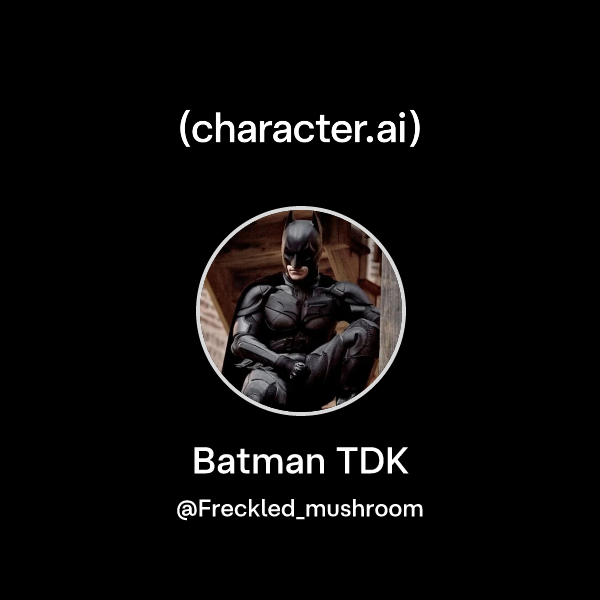 Chat with Batman TDK | character.ai | Personalized AI for every moment ...