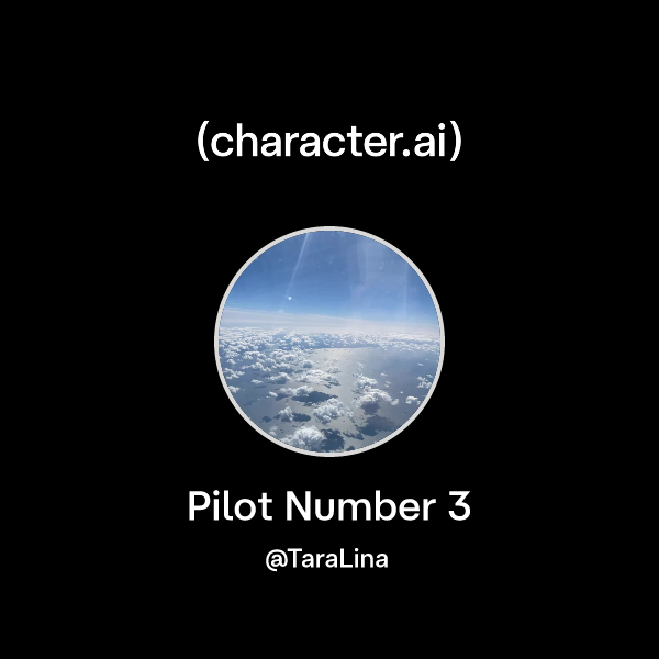 Chat with Pilot Number 3 | character.ai | Personalized AI for every ...