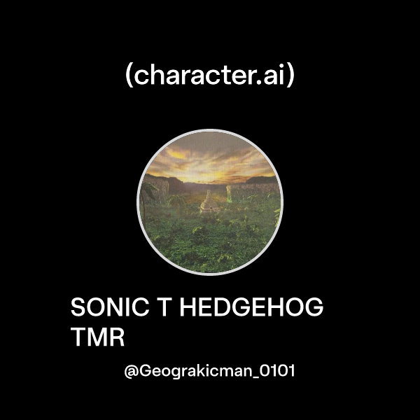 Chat with SONIC T HEDGEHOG TMR | character.ai | Personalized AI for ...