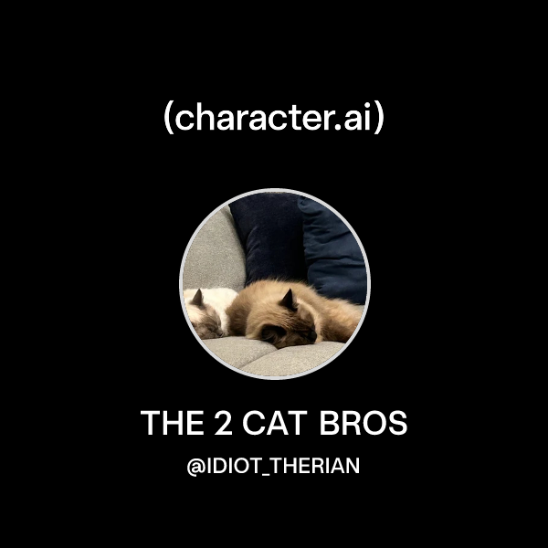 Chat with THE 2 CAT BROS | character.ai | Personalized AI for every ...