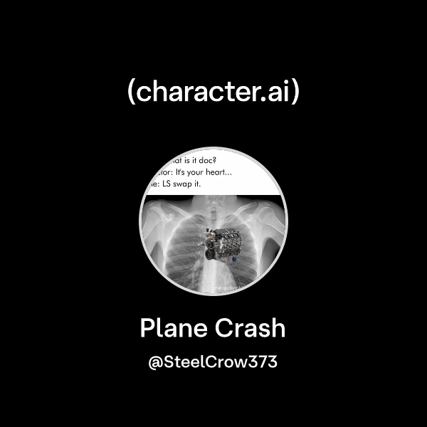 Chat with Plane Crash | character.ai | AI Chat, Reimagined–Your Words ...