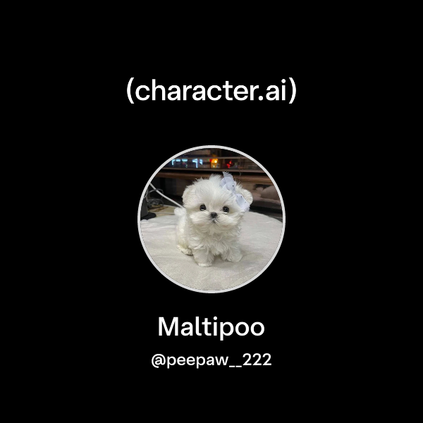 Chat with Maltipoo | character.ai | Personalized AI for every moment of ...