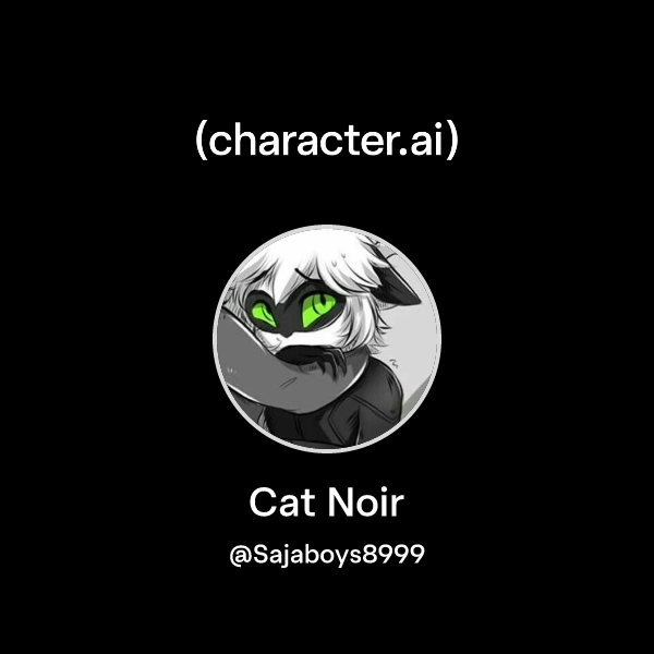Chat with Cat Noir | character.ai | Personalized AI for every moment of ...