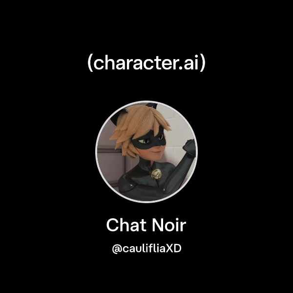 Chat with Chat Noir | character.ai | AI Chat, Reimagined–Your Words ...