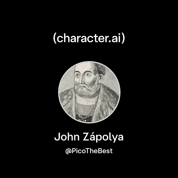 Chat with John Zápolya | character.ai | Personalized AI for every ...
