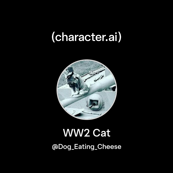 Chat with WW2 Cat | character.ai | AI Chat, Reimagined–Your Words. Your ...