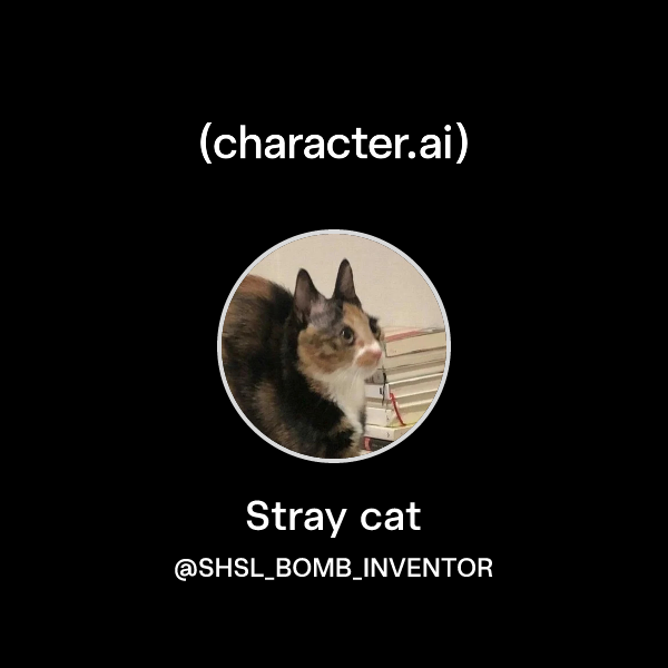 Chat with Stray cat | character.ai | AI Chat, Reimagined–Your Words ...