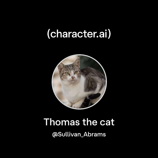 Chat with Thomas the cat | character.ai | Personalized AI for every ...