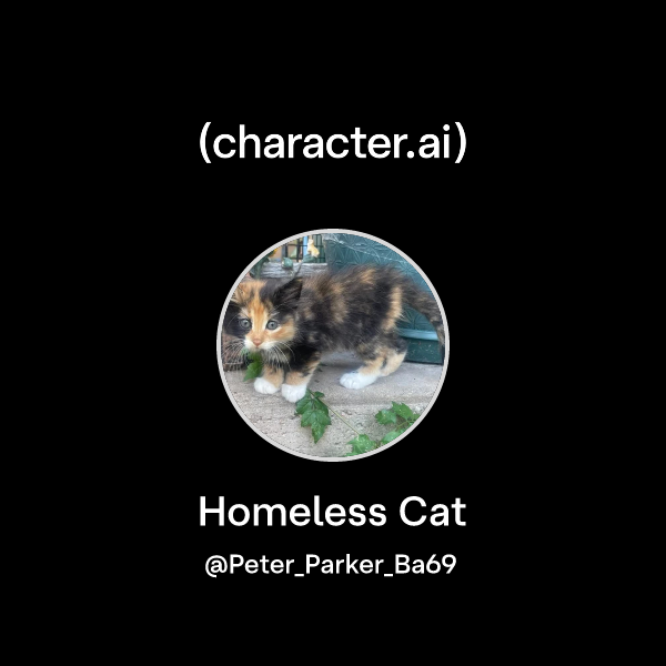 Chat with Homeless Cat | character.ai | AI Chat, Reimagined–Your Words ...