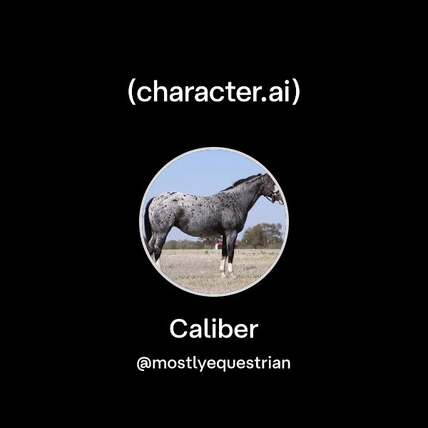 Chat with Caliber | character.ai | Personalized AI for every moment of ...