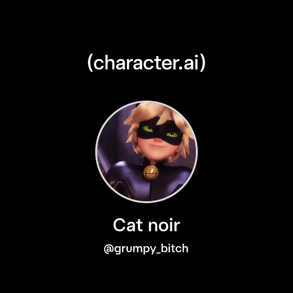 Chat with Cat noir | character.ai | Personalized AI for every moment of ...