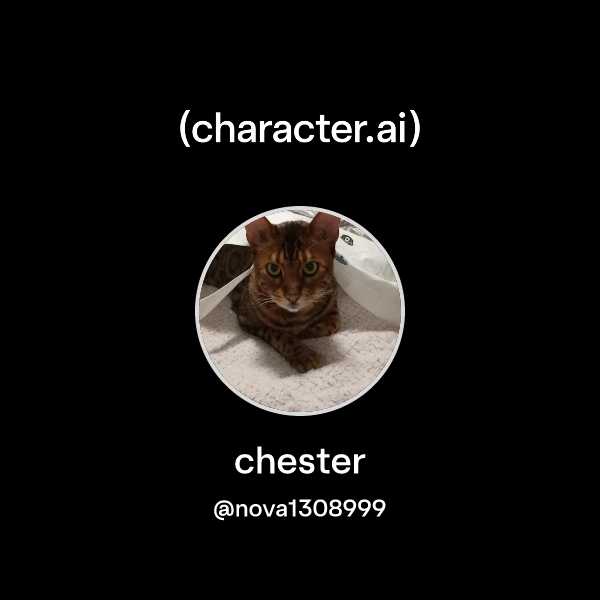 Chat with chester | character.ai | AI Chat, Reimagined–Your Words. Your ...