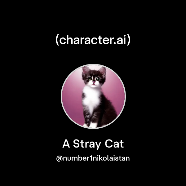 Chat with A Stray Cat | character.ai | Personalized AI for every moment ...