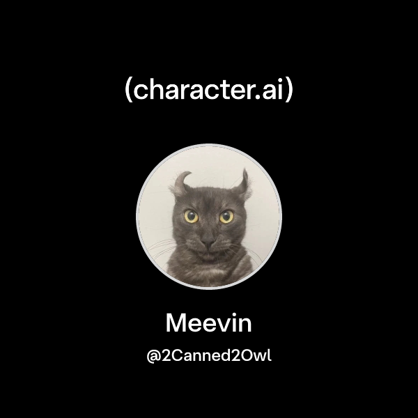 Chat with Meevin | character.ai | AI Chat, Reimagined–Your Words. Your ...