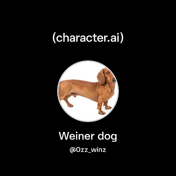 Chat with Weiner dog | character.ai | AI Chat, Reimagined–Your Words ...