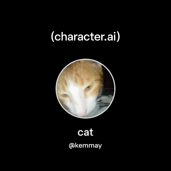 Chat with cat | character.ai | AI Chat, Reimagined–Your Words. Your World.