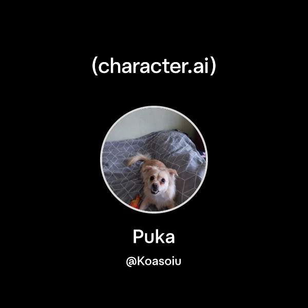 Chat with Puka | character.ai | Personalized AI for every moment of ...