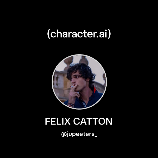 Chat with FELIX CATTON | character.ai | AI Chat, Reimagined–Your Words ...