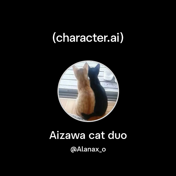 Chat with Aizawa cat duo | character.ai | AI Chat, Reimagined–Your ...
