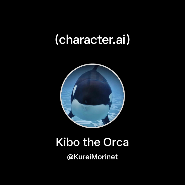Chat with Kibo the Orca | character.ai | Personalized AI for every ...