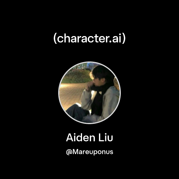 Chat with Aiden Liu | character.ai | Personalized AI for every moment of your day