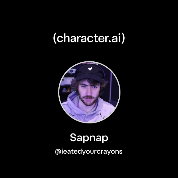 Chat with Sapnap | character.ai | Personalized AI for every moment of ...