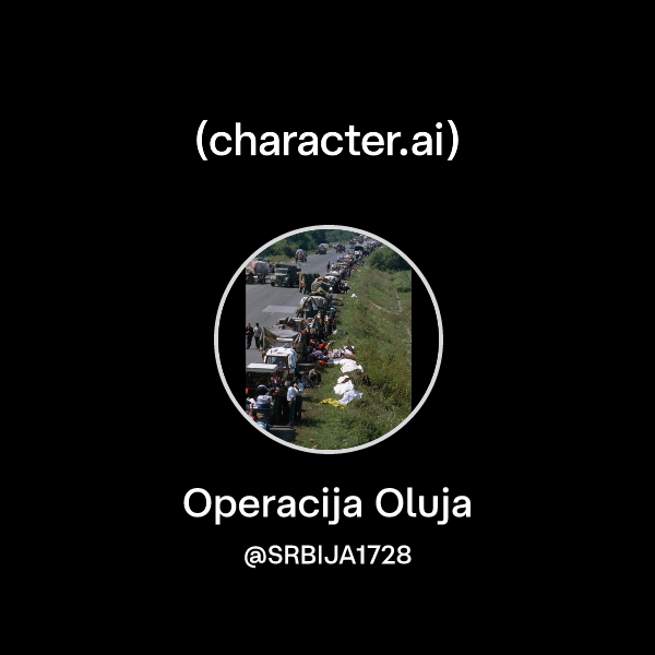 Chat with Operacija Oluja | character.ai | AI Chat, Reimagined–Your ...