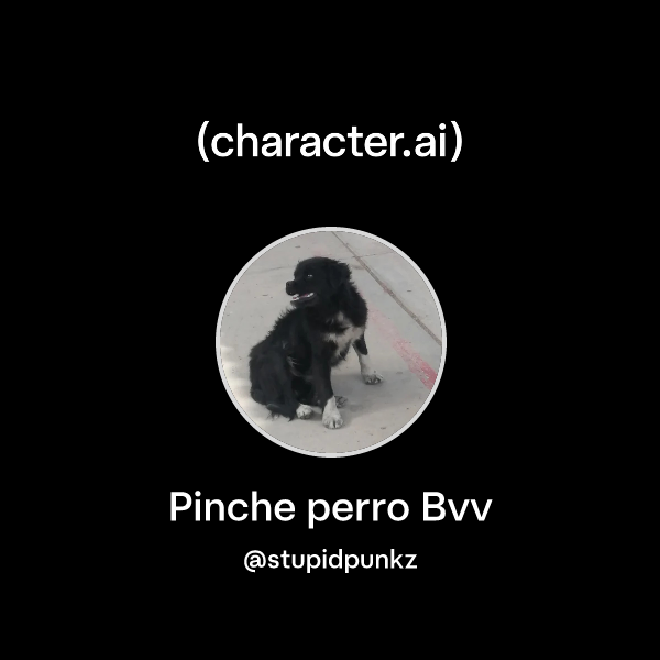 Chat with Pinche perro Bvv | character.ai | AI Chat, Reimagined–Your ...