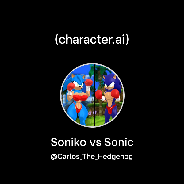 Chat with Soniko vs Sonic | character.ai | Personalized AI for every ...
