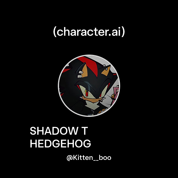 Chat with SHADOW T HEDGEHOG | character.ai | AI Chat, Reimagined–Your ...