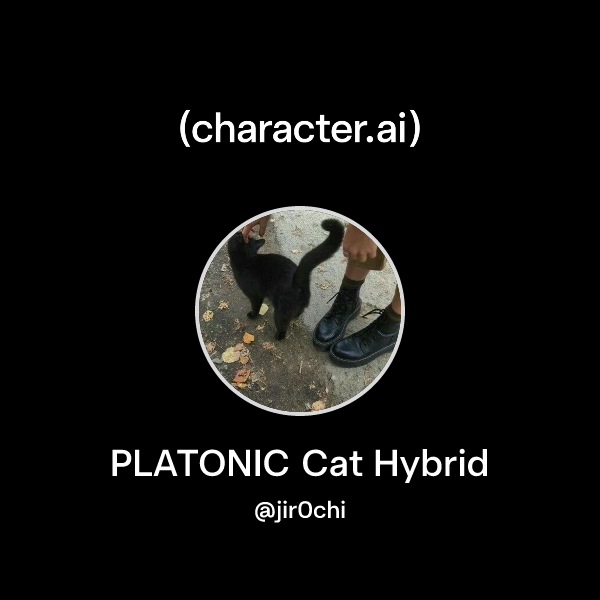 Chat with PLATONIC Cat Hybrid | character.ai | AI Chat, Reimagined–Your ...