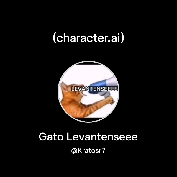 Chat with Gato Levantenseee | character.ai | Personalized AI for every ...
