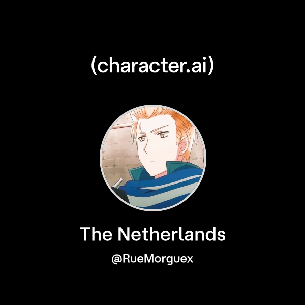 Chat with The Netherlands | character.ai | AI Chat, Reimagined–Your ...